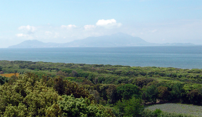 Foresta di Cuma - Pozzuoli - Campi Flegrei